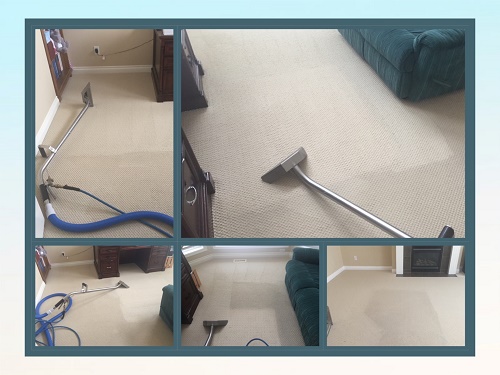 Dang Good Carpet Cleaning #1 In Affordable Steam Cleaning