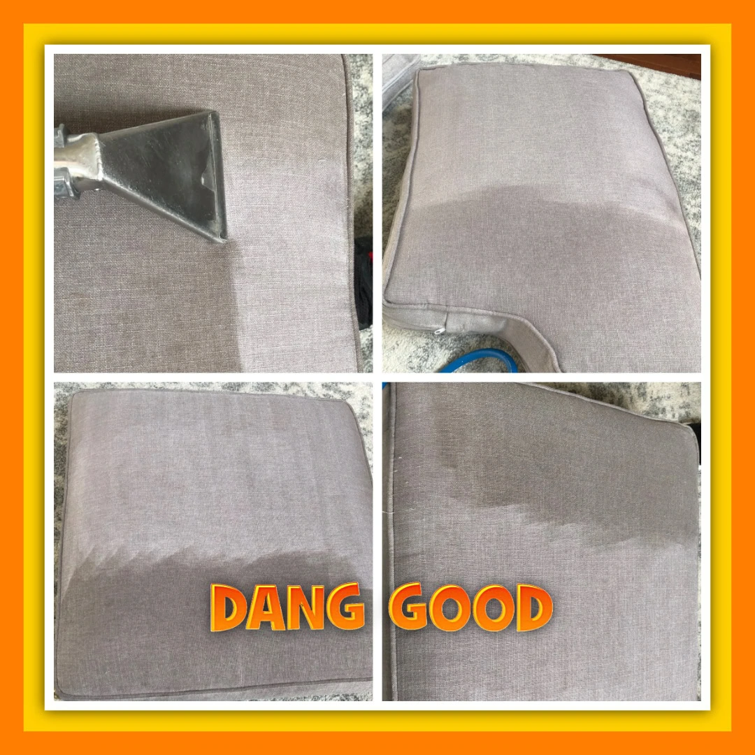 5 Upholstery Cleaning Codes Easily Explained - By Dang Good